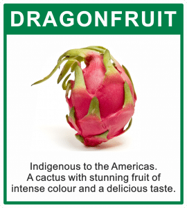 Fresh Fruit Ice Cream, Gelatos & Sorbets - Daintree Ice Cream Company